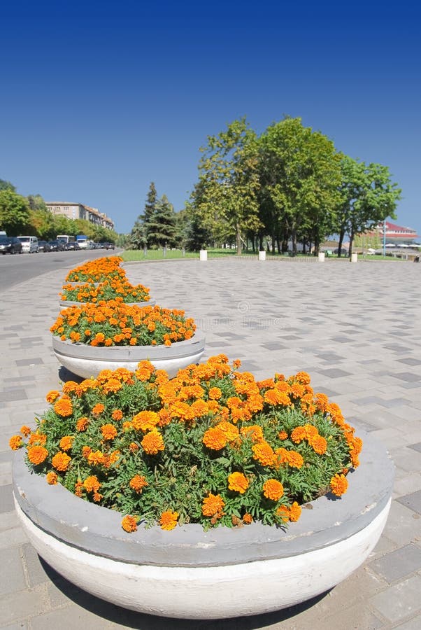 Flowerbed with Flowers on the Area Stock Image - Image of road, grass ...