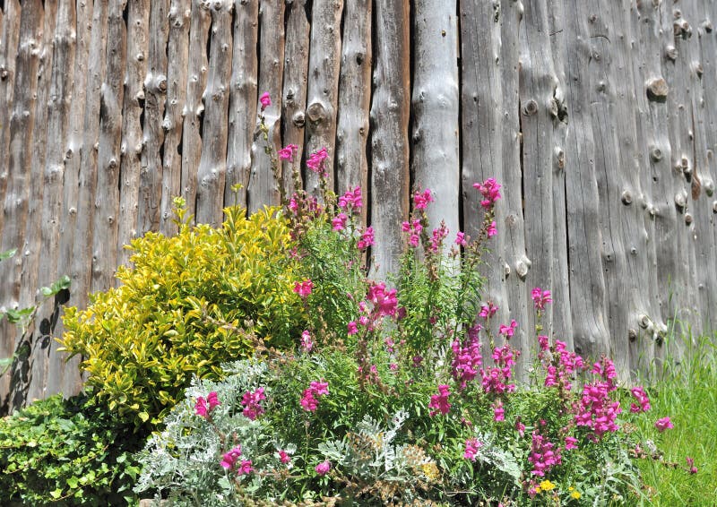 Flowerbed in Front of Wooden Panel Stock Image - Image of gardening ...
