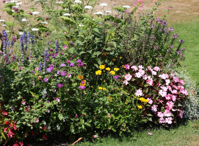 Flowerbed with Many Varieties of Fragrant Flowers in Spring Stock Photo ...