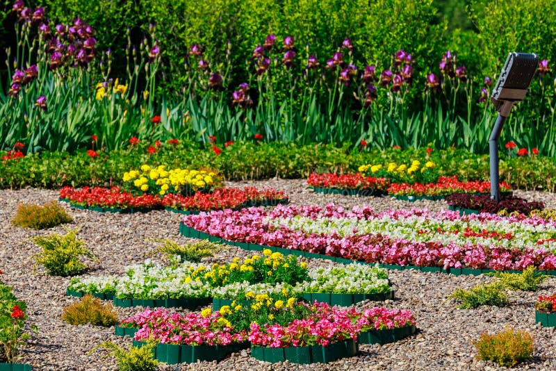 Flowerbeds of Decorative Floriculture in an Urban Environment ...