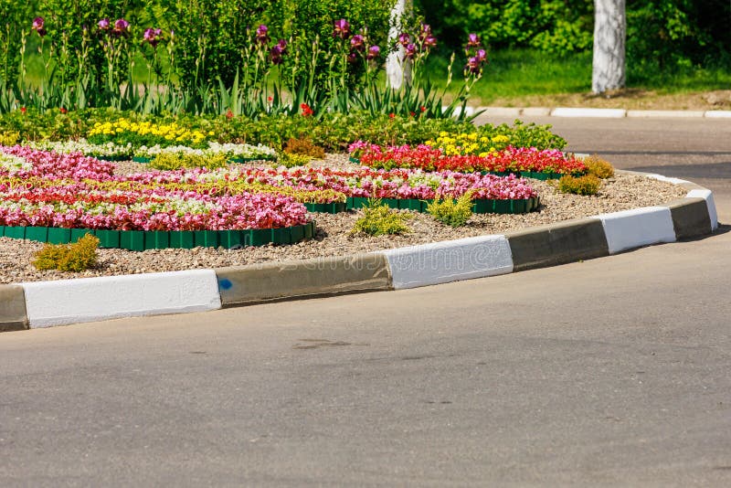 Flowerbeds of Decorative Floriculture in an Urban Environment ...