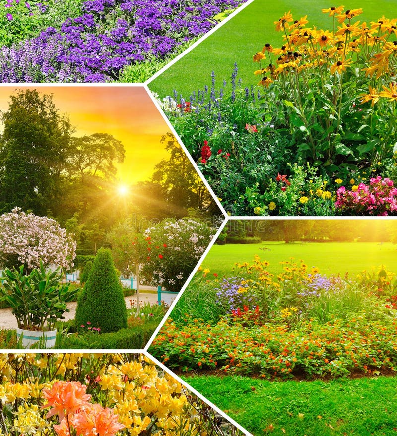 Flowerbeds in Gardens and Parks. Collage Stock Image - Image of blossoms, growth: 342069895