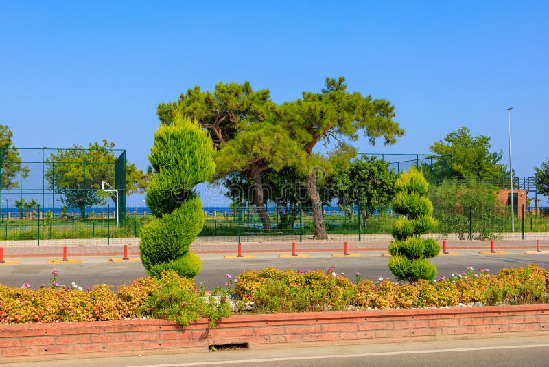 Flowerbeds on the Road Divider. Background with Copy Space Stock Photo ...