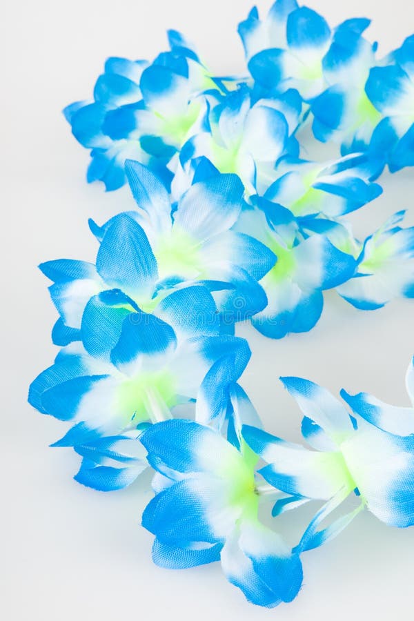 Flowerchain stock photo. Image of series, chain, neck - 10452216