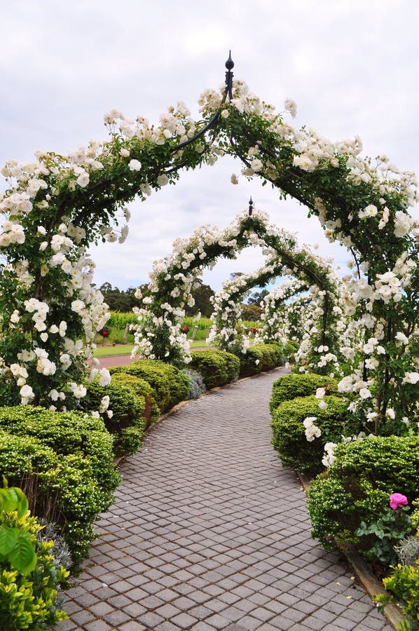 Flowered Arc stock image. Image of path, foliage, white - 22030385