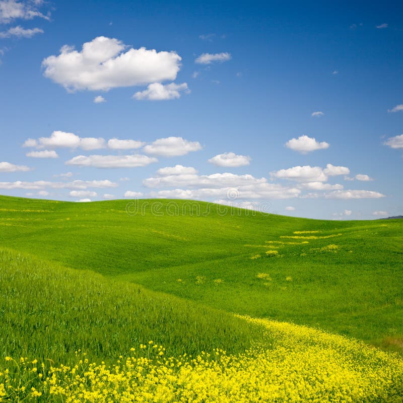 Flowered Landscape stock photo. Image of cloud, dreamy - 5799552