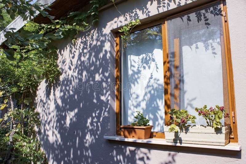 Flowered Window of Garden House, Natural Background Stock Image - Image ...