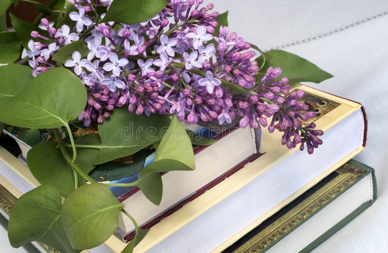 A Flowering Branch of Lilac and Books. Stock Photo - Image of bouquet ...