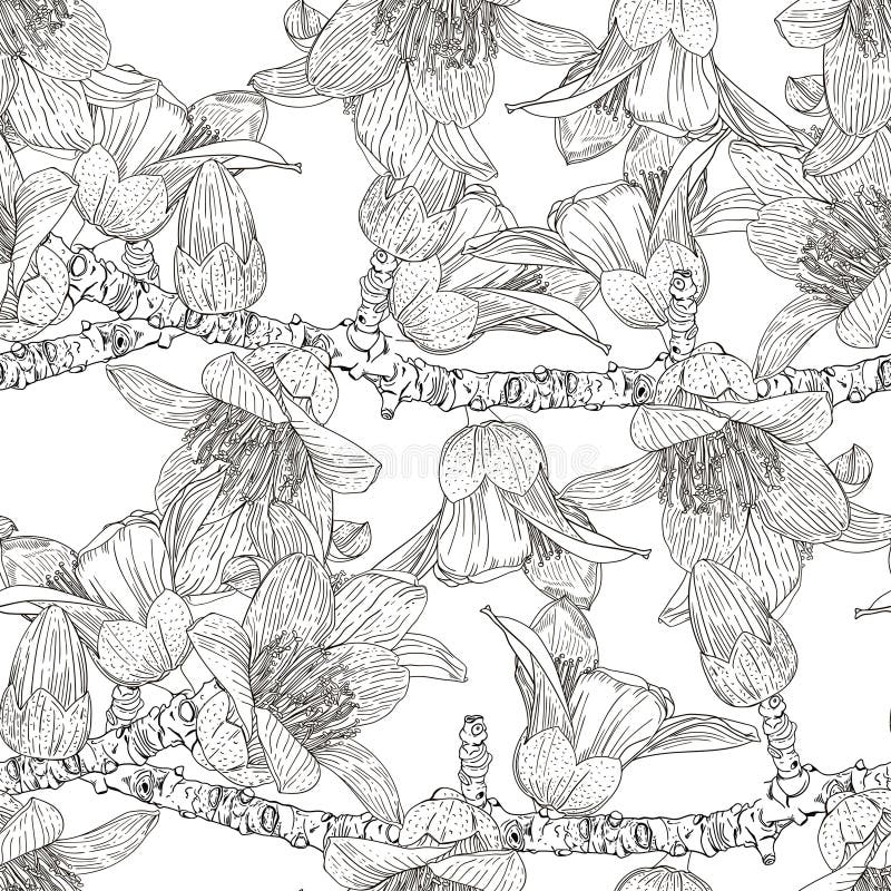 Ceiba Stock Illustrations – 362 Ceiba Stock Illustrations, Vectors ...