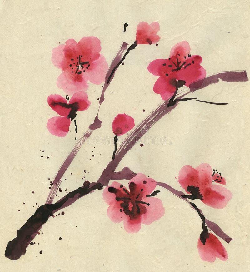 Flowering Cherry. Spring. Ink and Brush. Stock Illustration ...