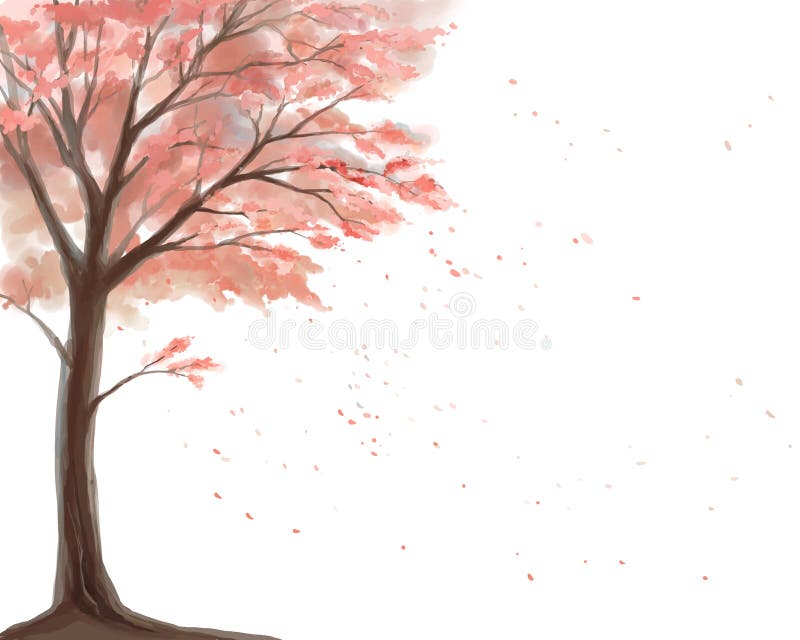Flowering Cherry Tree on a White Background Stock Illustration ...