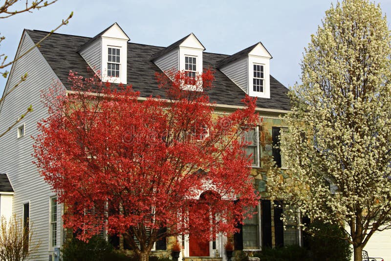 Flowering Home stock image. Image of house, time, homes - 52813139