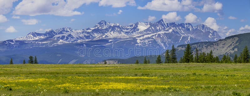 Flowering Meadow and Snow-capped Peaks. Panoramic View, Spring Nature ...