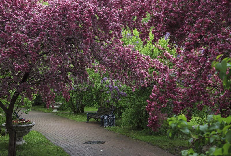 A Corner in the Catherine Park. Moscow Stock Photo - Image of yard ...