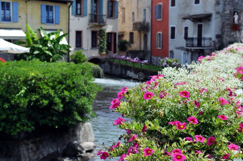 Flowering on the Small Village Stock Photo - Image of overlooking ...