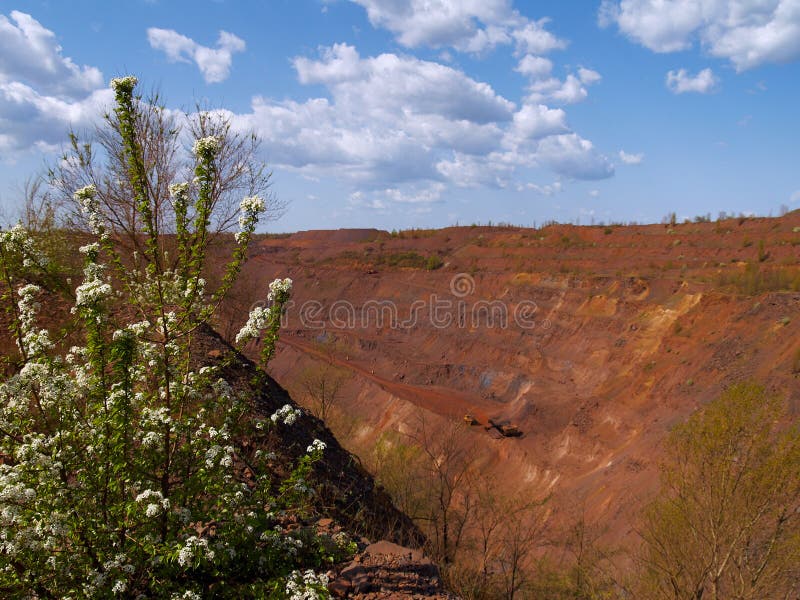 Flowering Tree and Open-pit Mining Stock Image - Image of iron ...