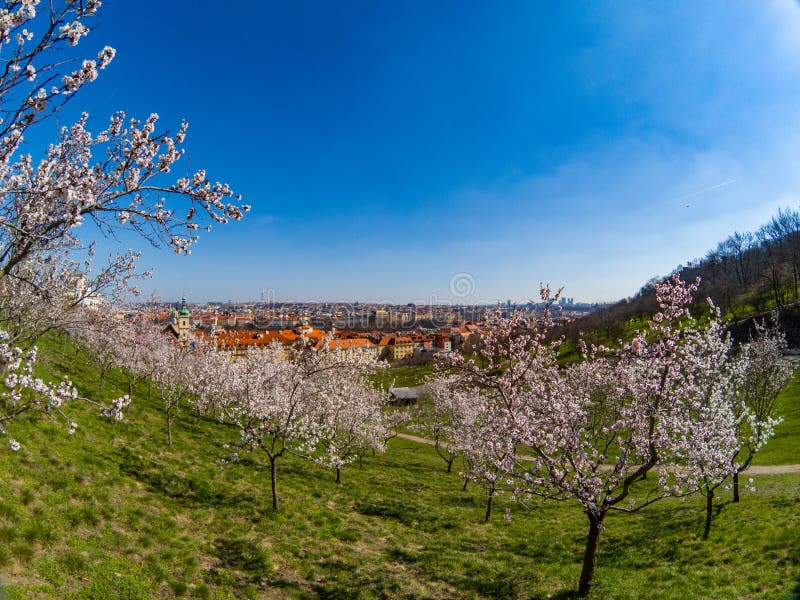 Spring in Prague ...... Czech Republic Stock Image - Image of capital ...