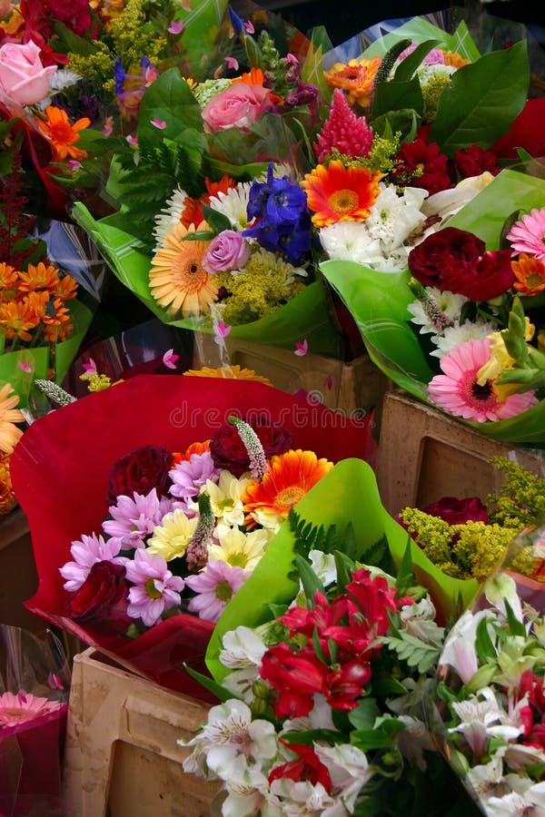 Underground flowers shop stock image. Image of nature - 49049033