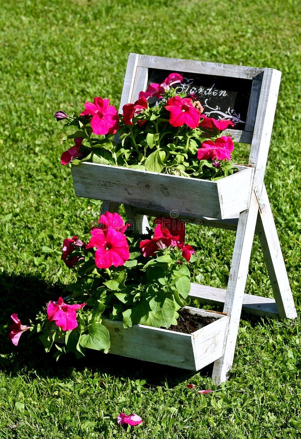 Flower in a flower pot stock photo. Image of nature, golden - 25117906
