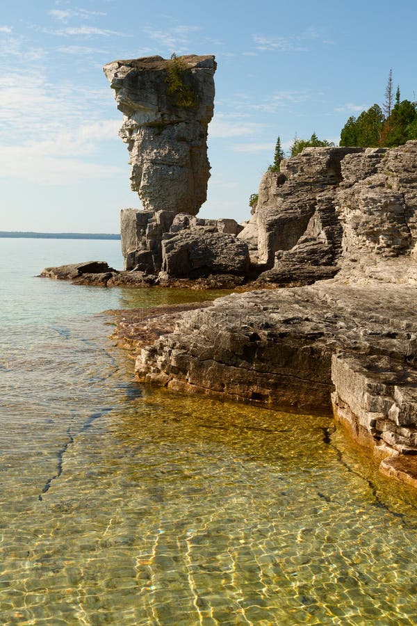 Tree on Edge of Cliff and Lake Ontario - Scarborough Bluffs - Toronto ...