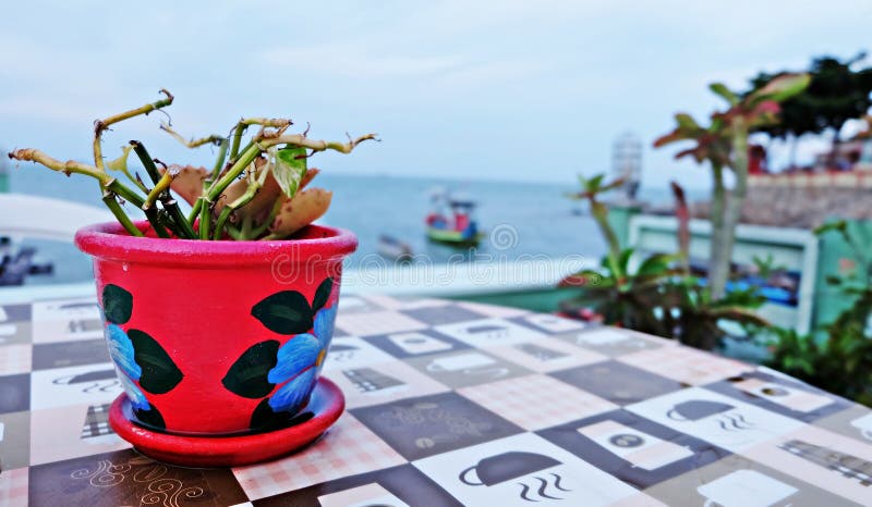A flower pot on the table stock photo. Image of garden - 59766426