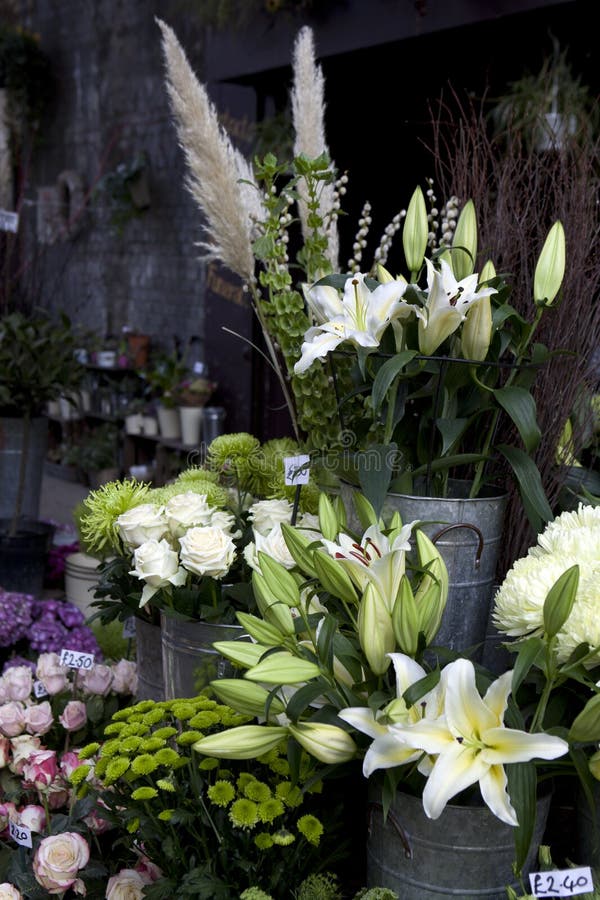 Extravagant Floral Arrangement Stock Photo - Image of purple, leaves ...
