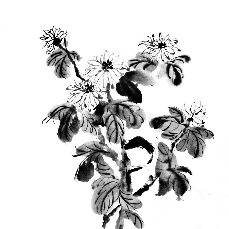 Hibiscus, Vector Illustration Stock Vector - Illustration of floral ...