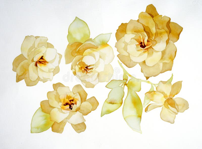 Flowers stock illustration. Illustration of artist, blank - 23569569