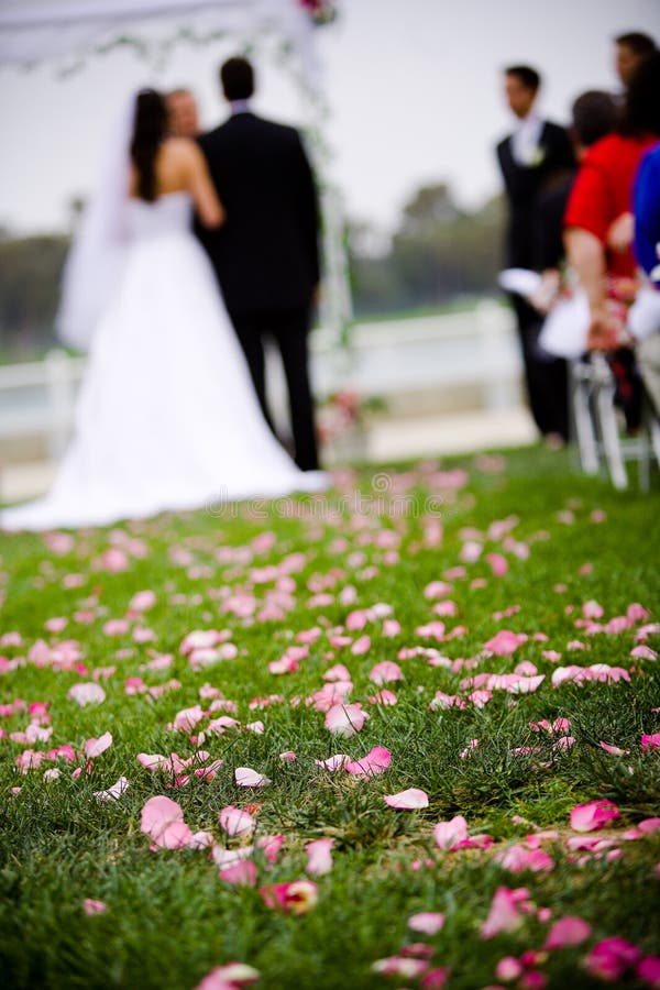 Flowers in Aisle stock photo. Image of floral, pink, flora - 19448578