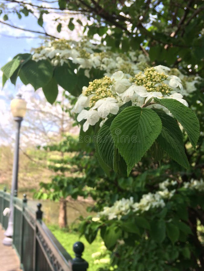 Umph معنی Stock Photos - Free & Royalty-Free Stock Photos from Dreamstime