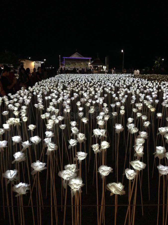 10000 Flowers Amazingly Beautiful Stock Image - Image of 10000 ...