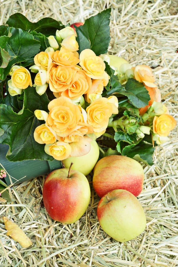 Flowers and apple on hay stock photo. Image of grass - 45509684
