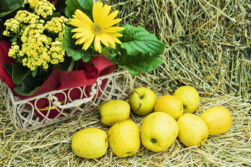 Flowers and apple on hay stock photo. Image of fresh - 45509982