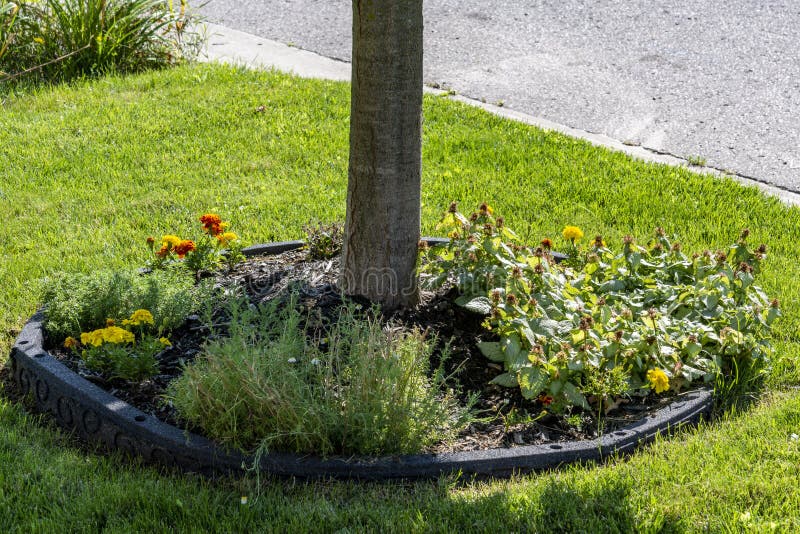 Flowers Around the Trunk of a Tree Stock Image - Image of produce ...
