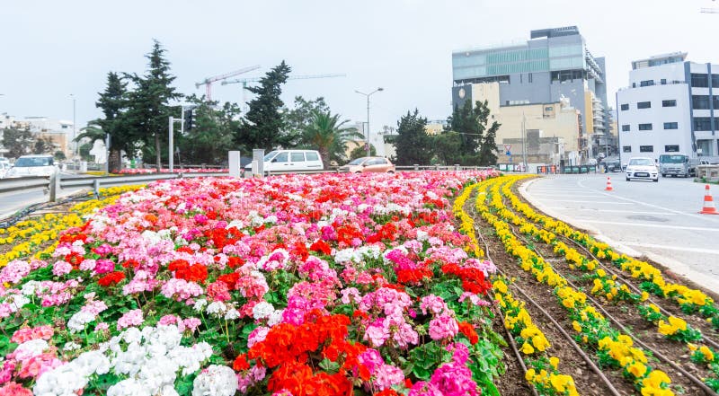 Flowers Arrangement and Roundabouts Editorial Image - Image of malta ...