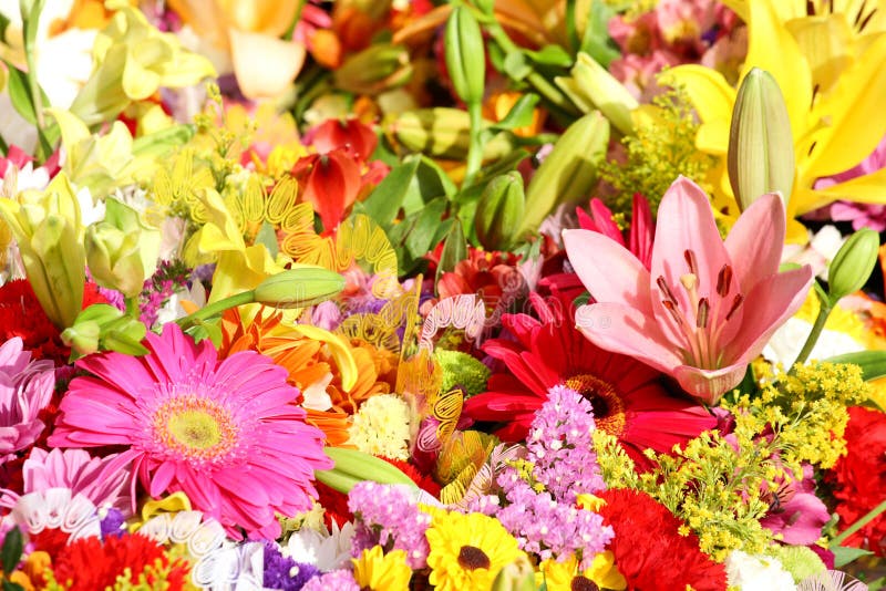 Flowers Background - Kashmiri Style Stock Photo - Image of concentric ...