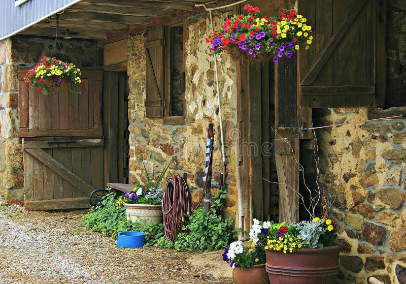 Flowers at the barn stock photo. Image of farm, barn - 53808438