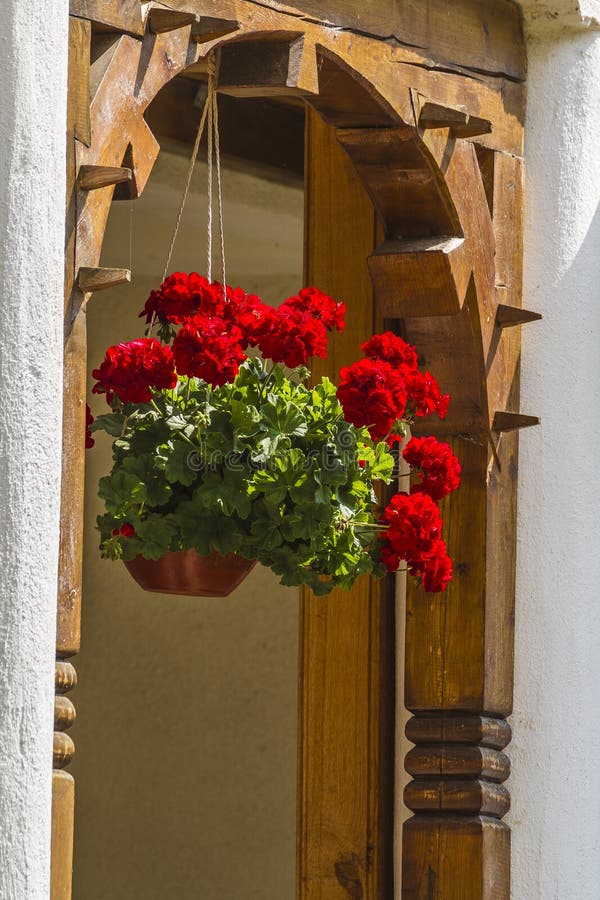 Flowers stock photo. Image of ancient, building, empty - 42690946