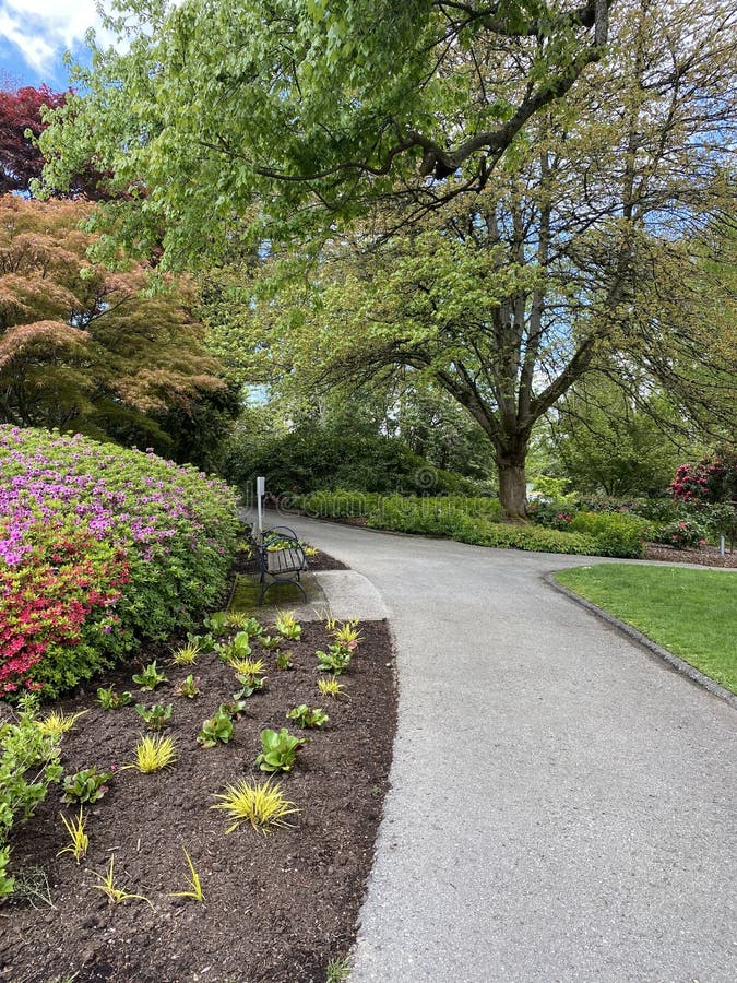 Fork in the path stock photo. Image of grassland, nature - 1633868