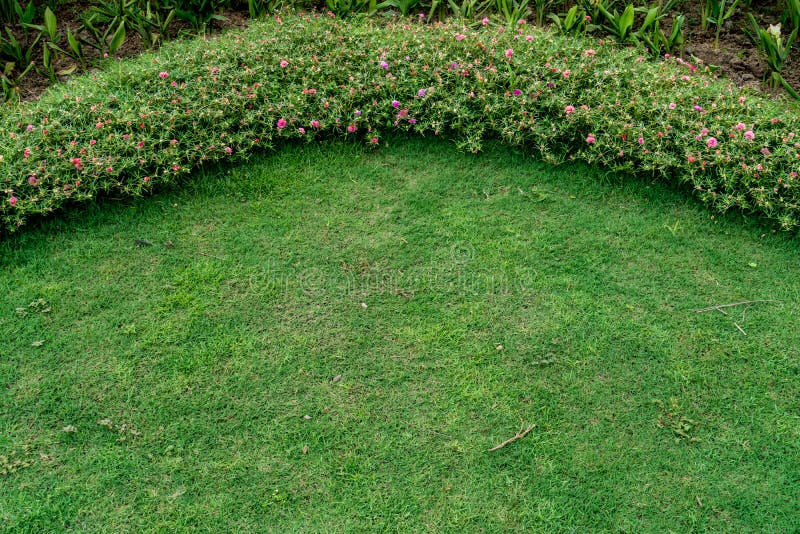 Flowers Bed with Green Grass Stock Photo - Image of flower, pond: 97684878