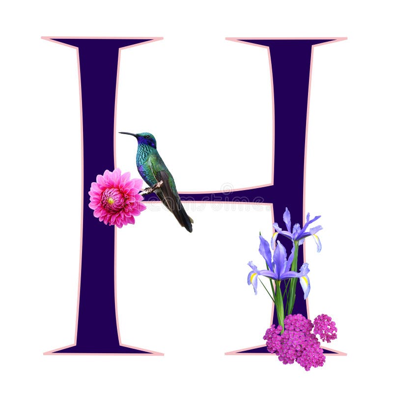 Pink Daisy Letter H Stock Illustrations – 10 Pink Daisy Letter H Stock ...