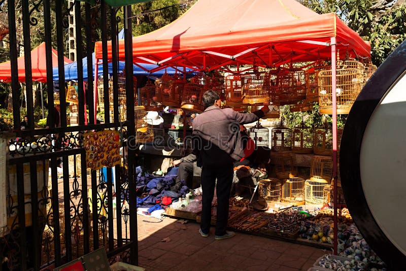 Flowers and Birds Market of Kunming Editorial Stock Image - Image of ...