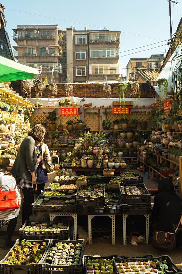 Flowers and Birds Market of Kunming Editorial Stock Image - Image of ...
