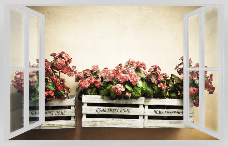 Flowers in Bloom Seen from an Open Window - Springtime Concept Image ...