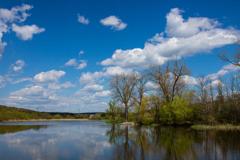 Flowers Bloom in Spring, Blue Sky and White Clouds are Reflected in the ...