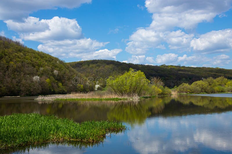 Flowers Bloom in Spring, Blue Sky and White Clouds are Reflected in the ...