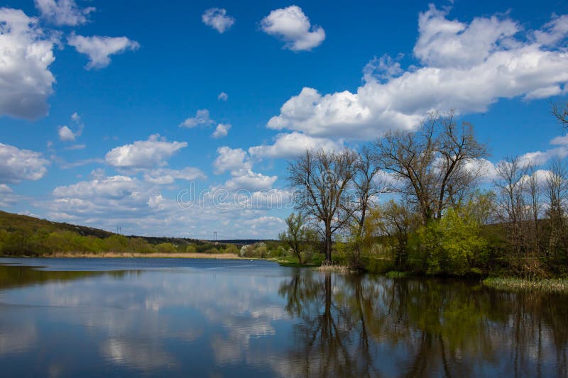 Flowers Bloom in Spring, Blue Sky and White Clouds are Reflected in the ...