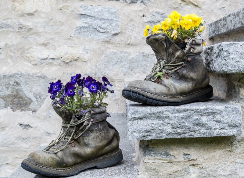 Flowers in boots stock photo. Image of seasonal, season - 31636300