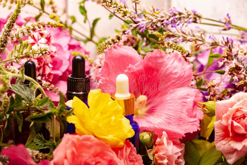 Flowers and Bottles of Essential Oils for Aromatherapy Stock Photo ...