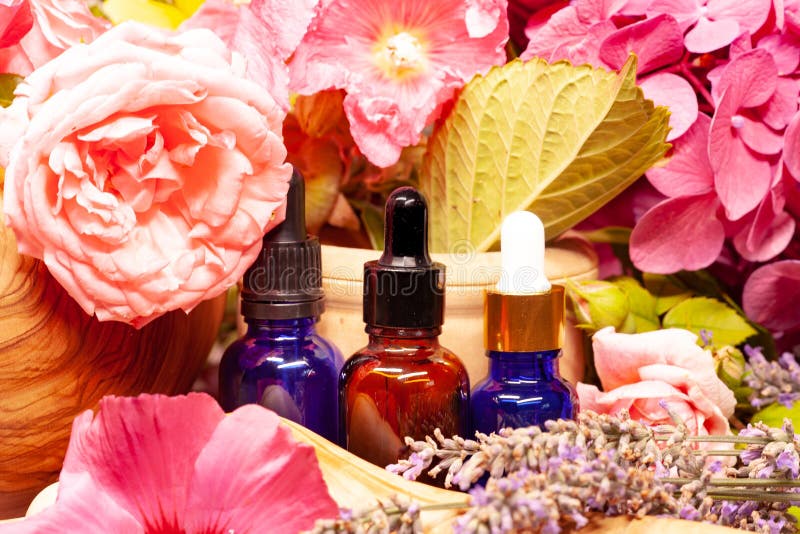 Flowers and Bottles of Essential Oils for Aromatherapy Stock Image ...